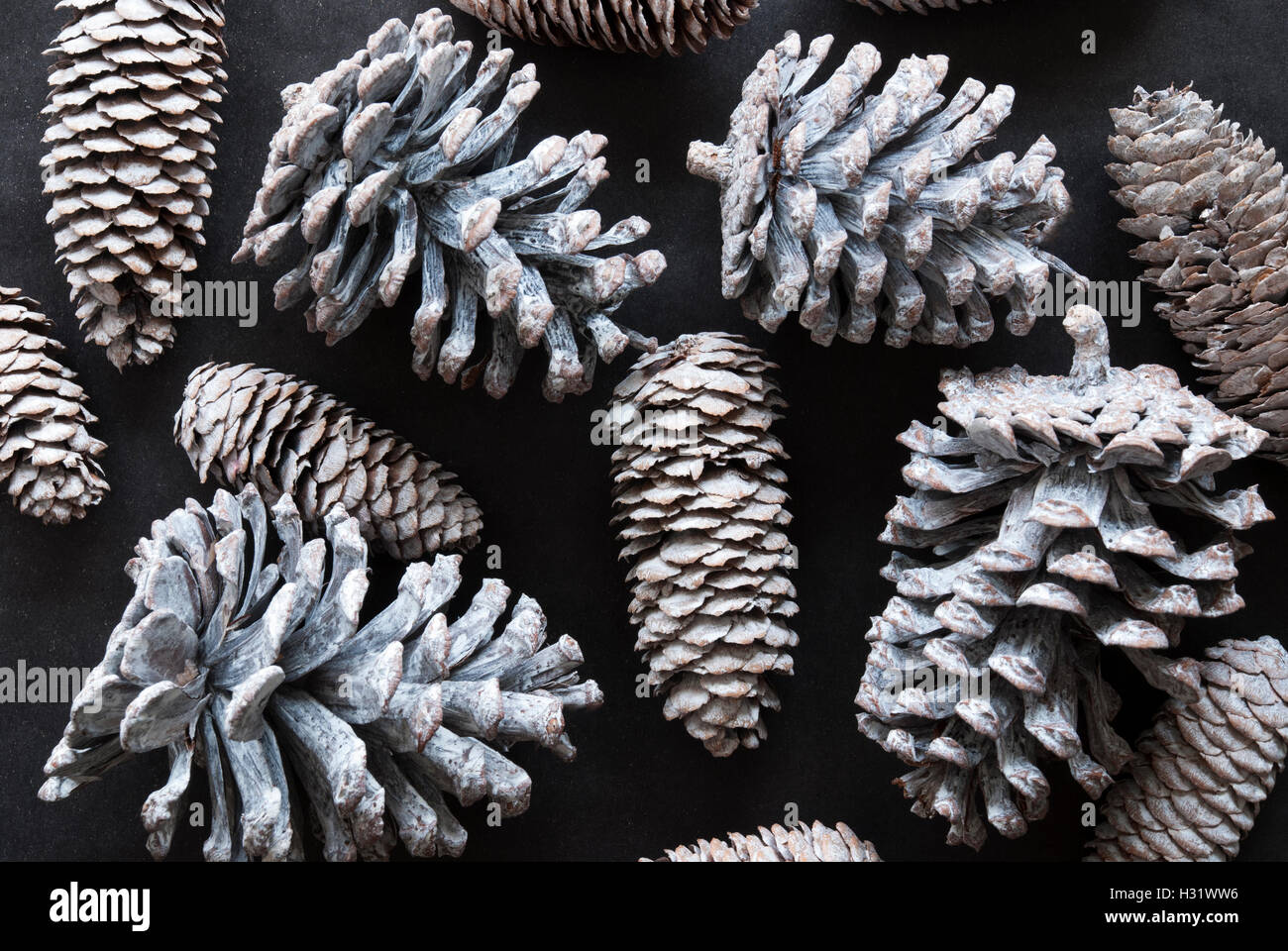 Cone texture hi-res stock photography and images - Alamy