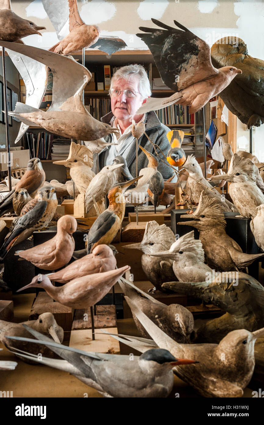 A man and his wooden bird carvings in his studio in Pennsylvania Stock ...