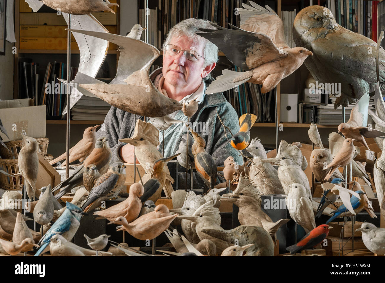 A man and his wooden bird carvings in his studio in Pennsylvania Stock ...