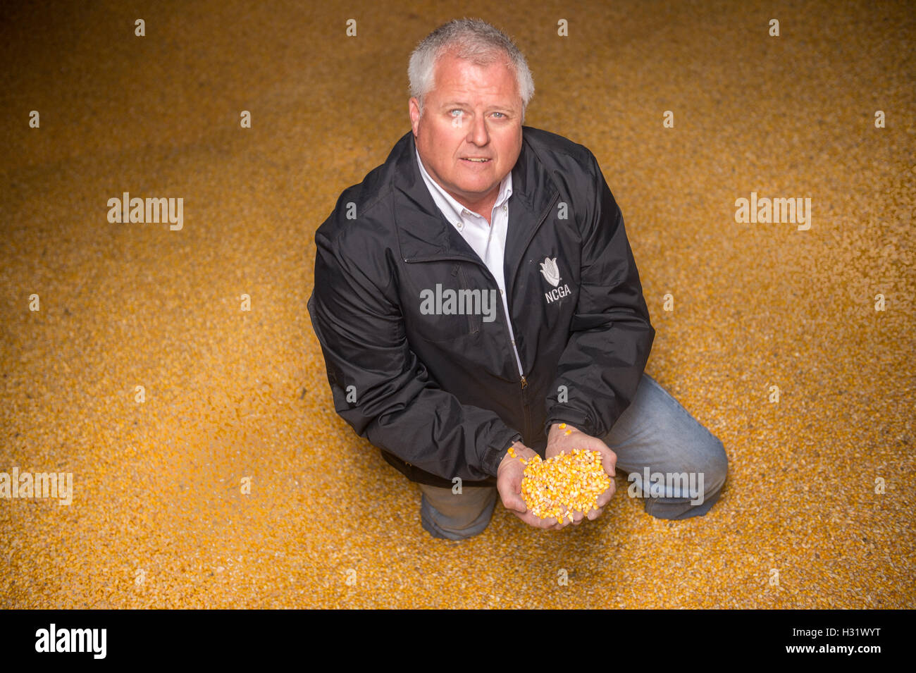 Corn crop farming hi-res stock photography and images - Alamy