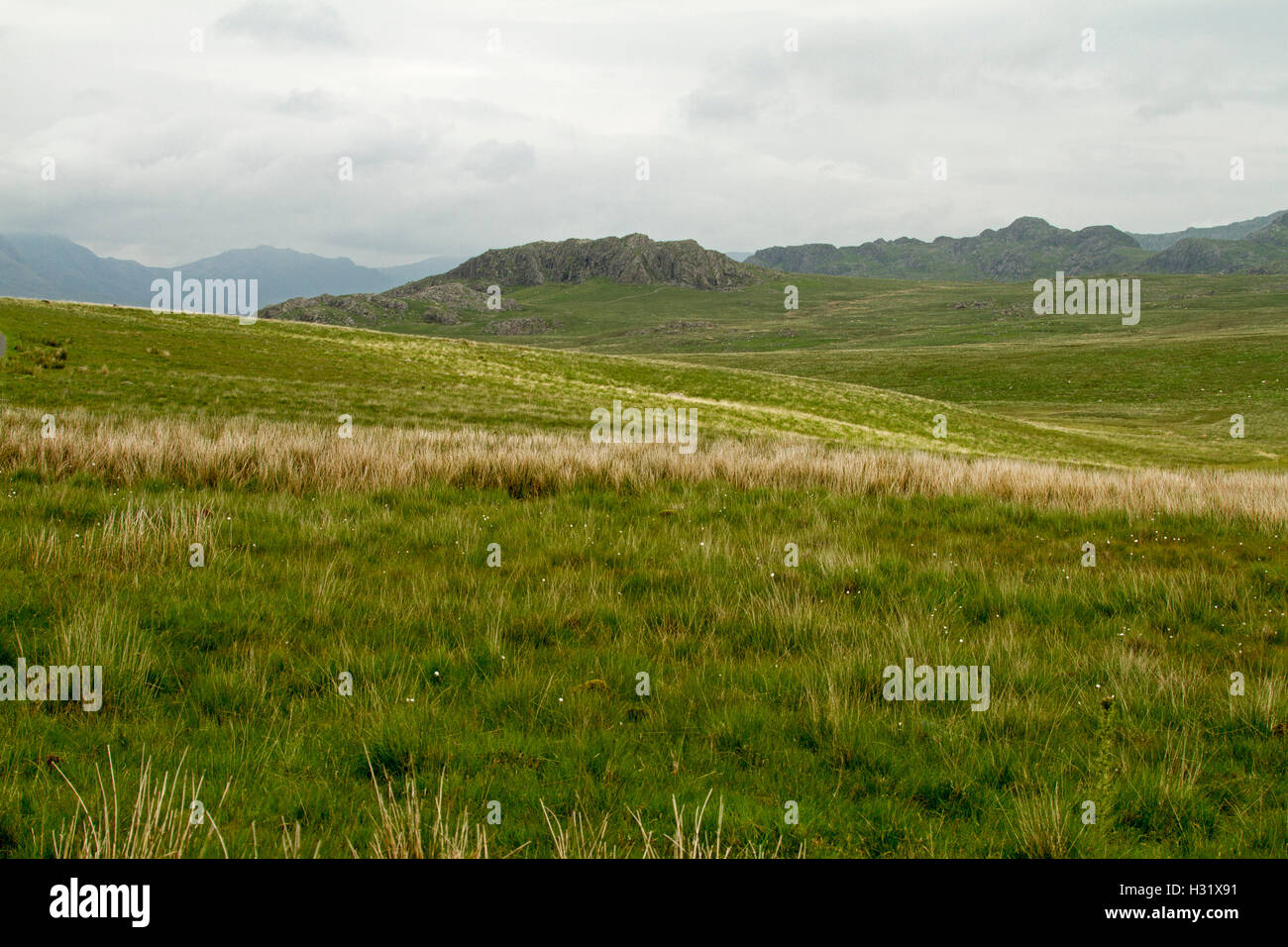 Vast landscape of emerald treeless grassy plains hemmed with high ...