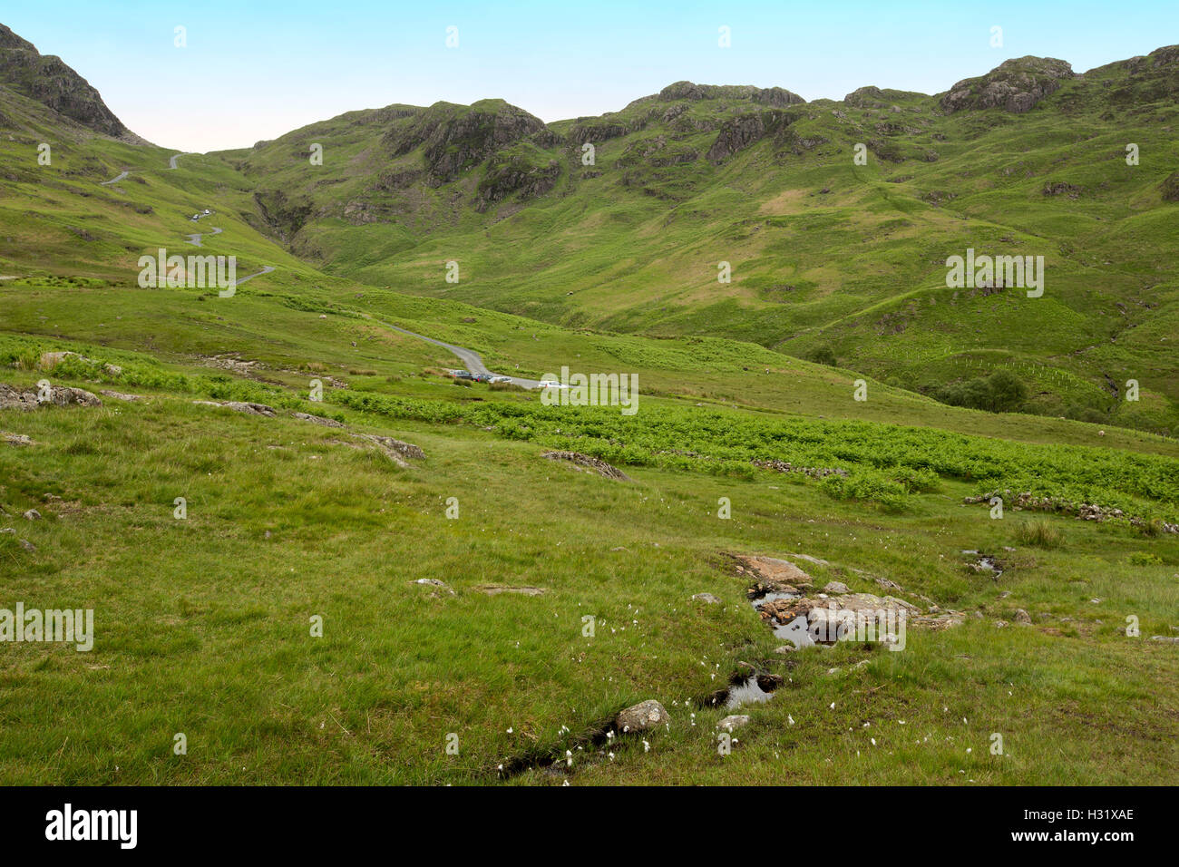 Narrow road snaking up through treeless grassy hills at Hardknott Pass ...