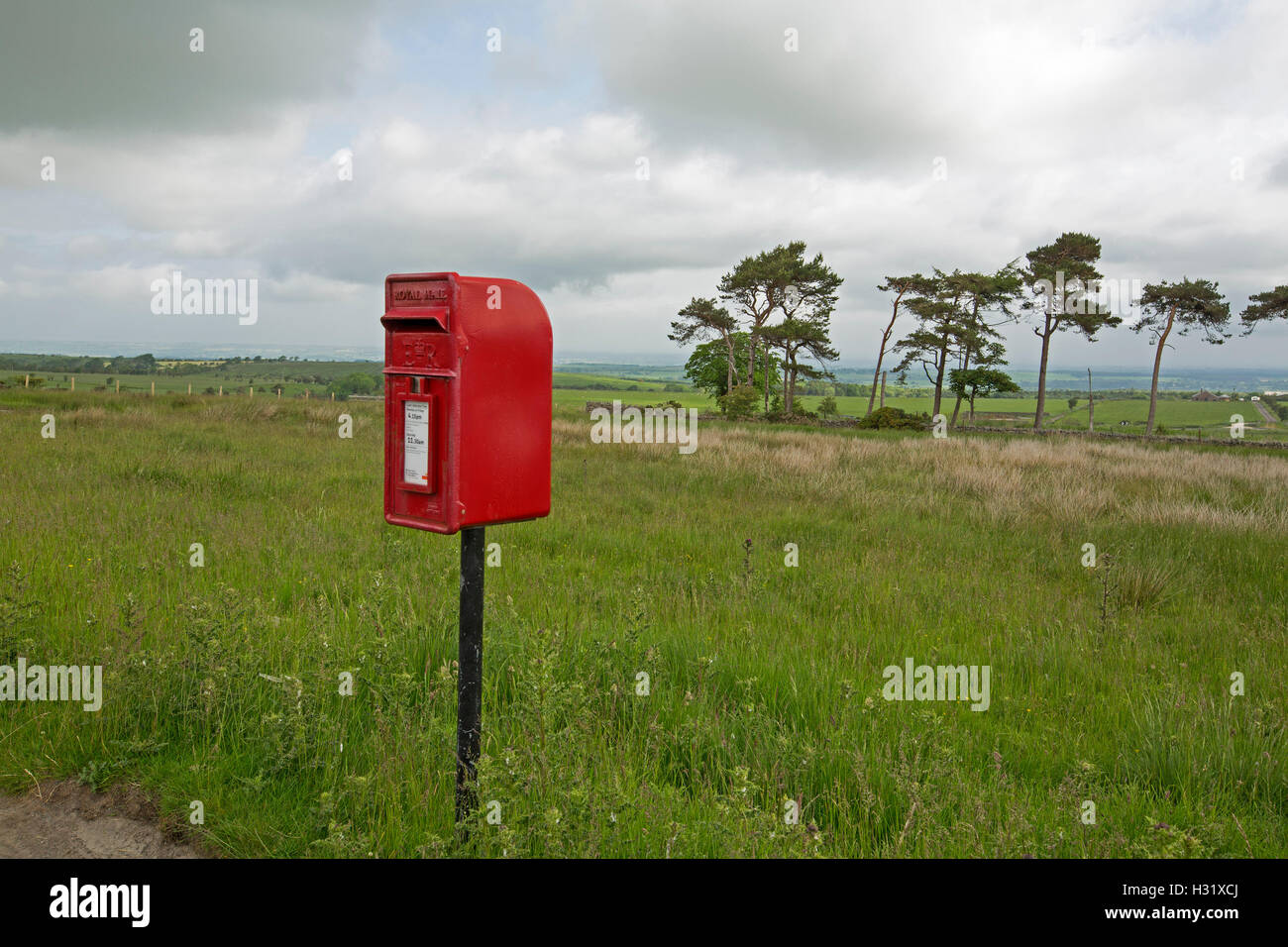 Bright red Royal Mail letter box rising from emerald green grass with ...