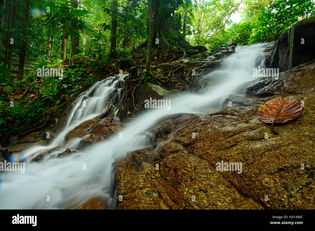 Jeram Toi Waterfall Stock Photo - Alamy