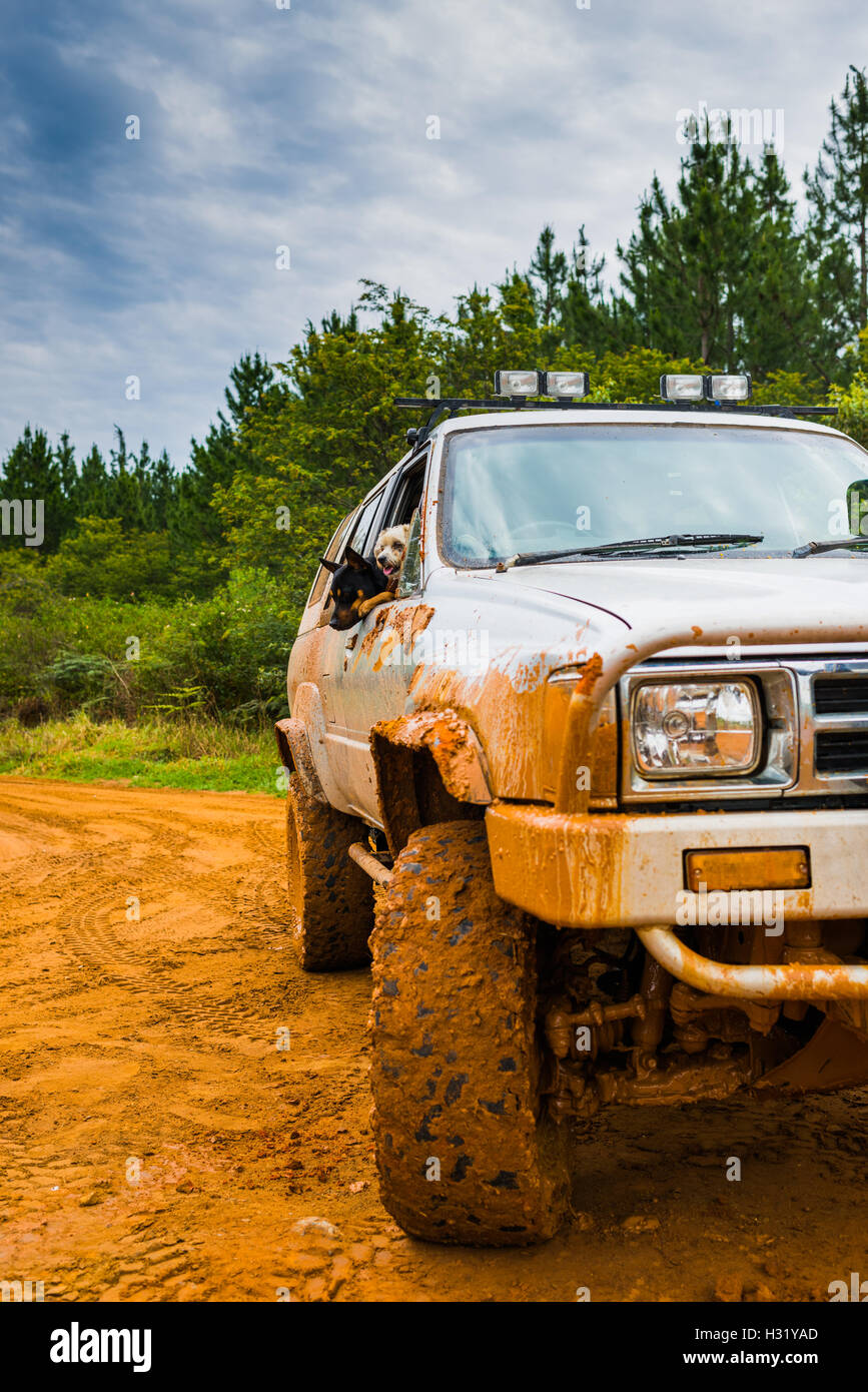 Australian coast image hi-res stock photography and images - Alamy