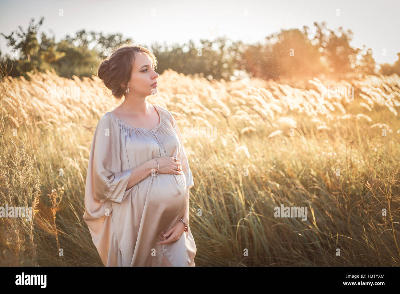Portrait of a pregnant woman in the sunset light on the nature of the ...