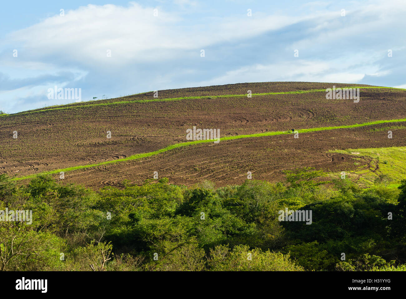Hillside landscape plowed earth soil farming landscape Stock Photo - Alamy