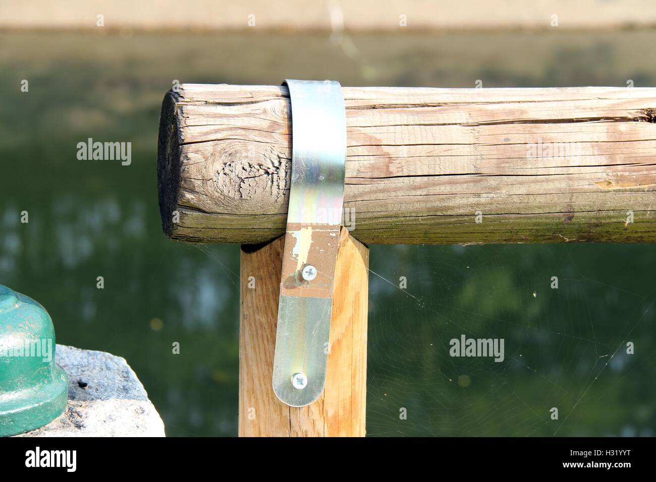 Trunk isolated, cylindrical shape, with the color veining, in the ...