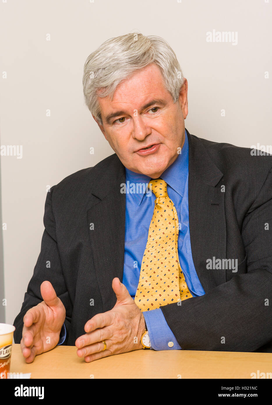 WASHINGTON, DC, USA - Newt Gingrich, former Speaker of the U. S. House ...