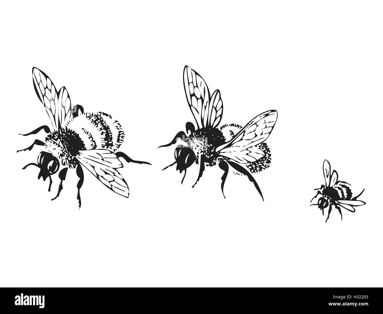 Bees on beeswax Black and White Stock Photos & Images - Alamy