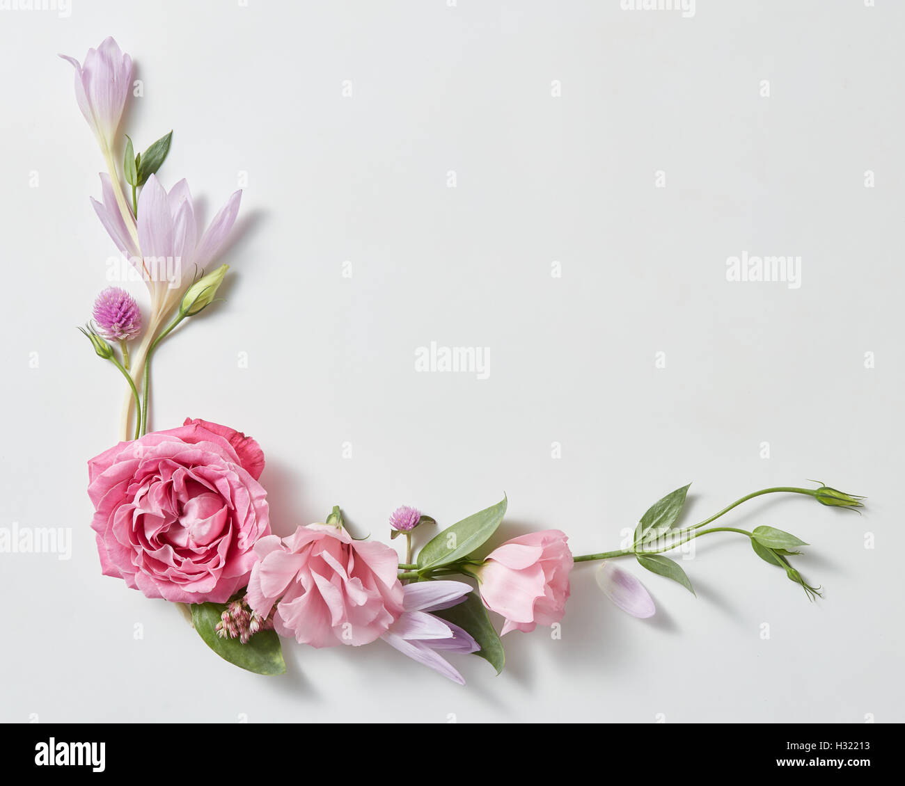 beautiful roses frame Stock Photo - Alamy