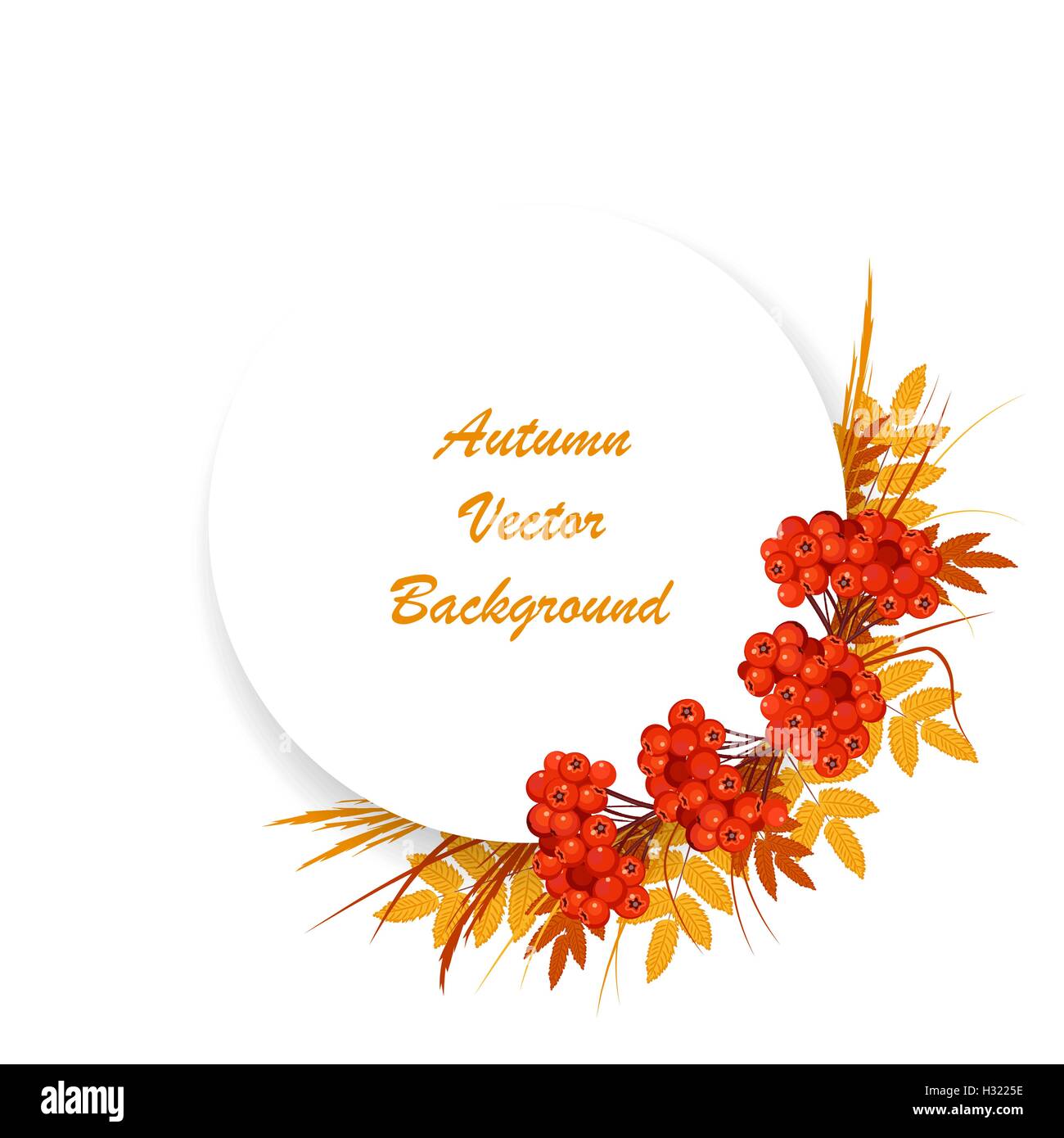 Autumn vector background Stock Vector Image & Art - Alamy