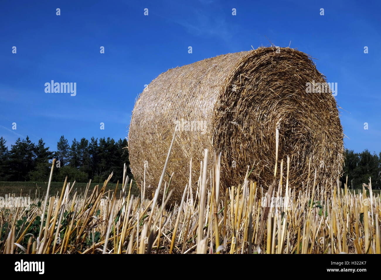 Slanted cylinder hi-res stock photography and images - Alamy