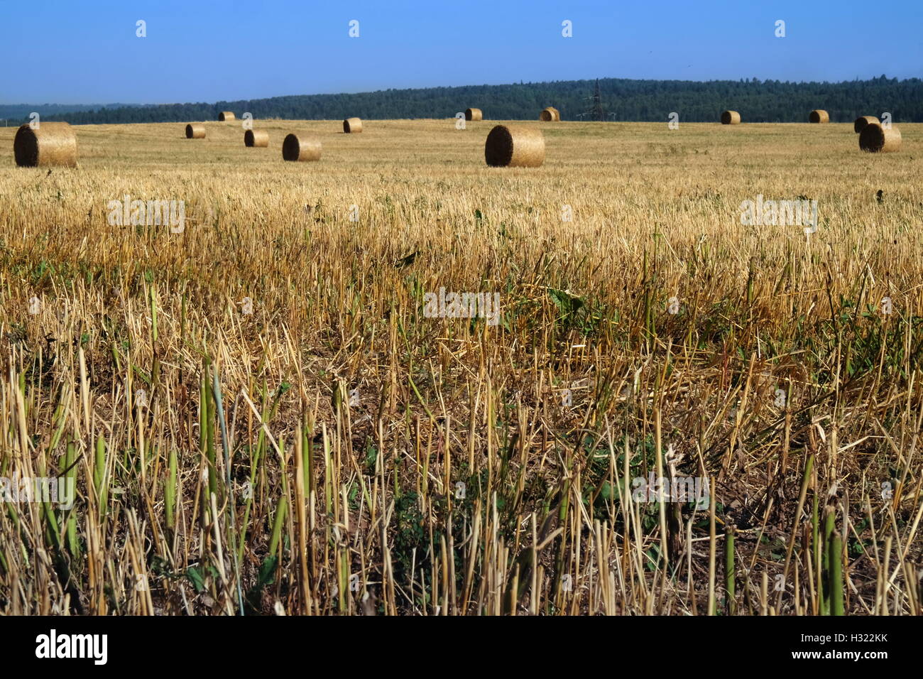 Slanted cylinder hi-res stock photography and images - Alamy