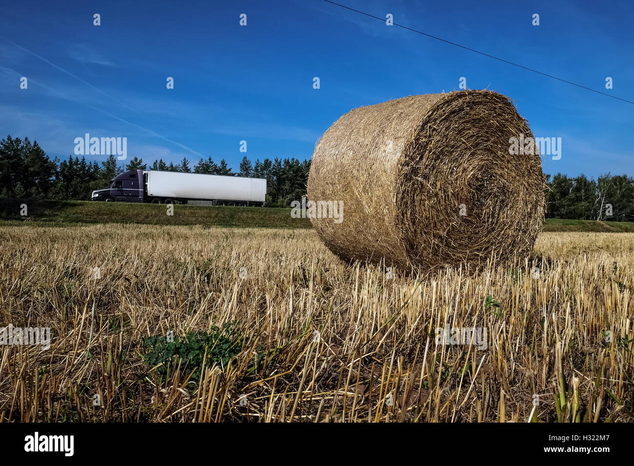 hay rolls on the slanted field Stock Photo - Alamy
