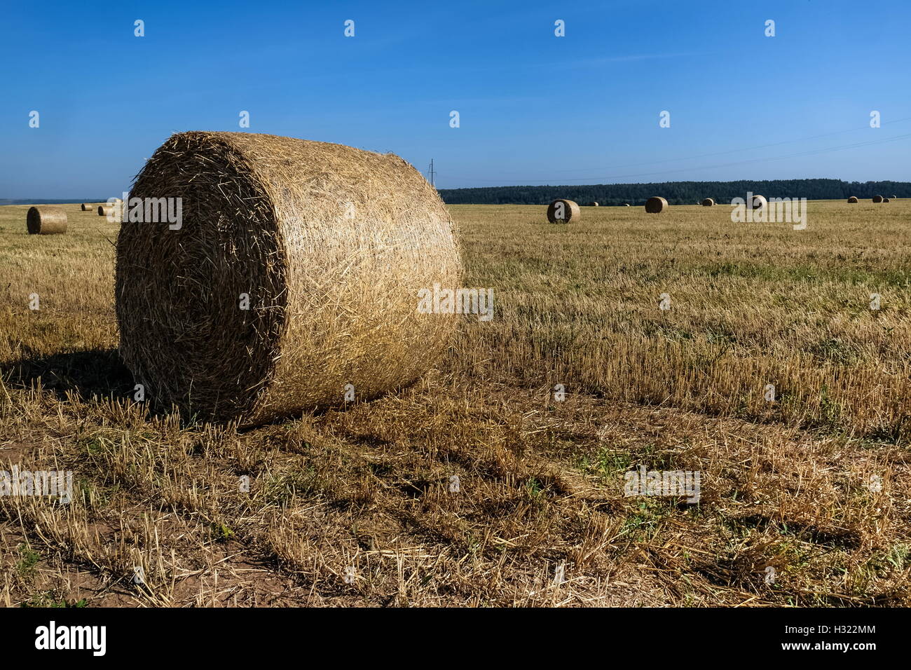Slanted cylinder hi-res stock photography and images - Alamy