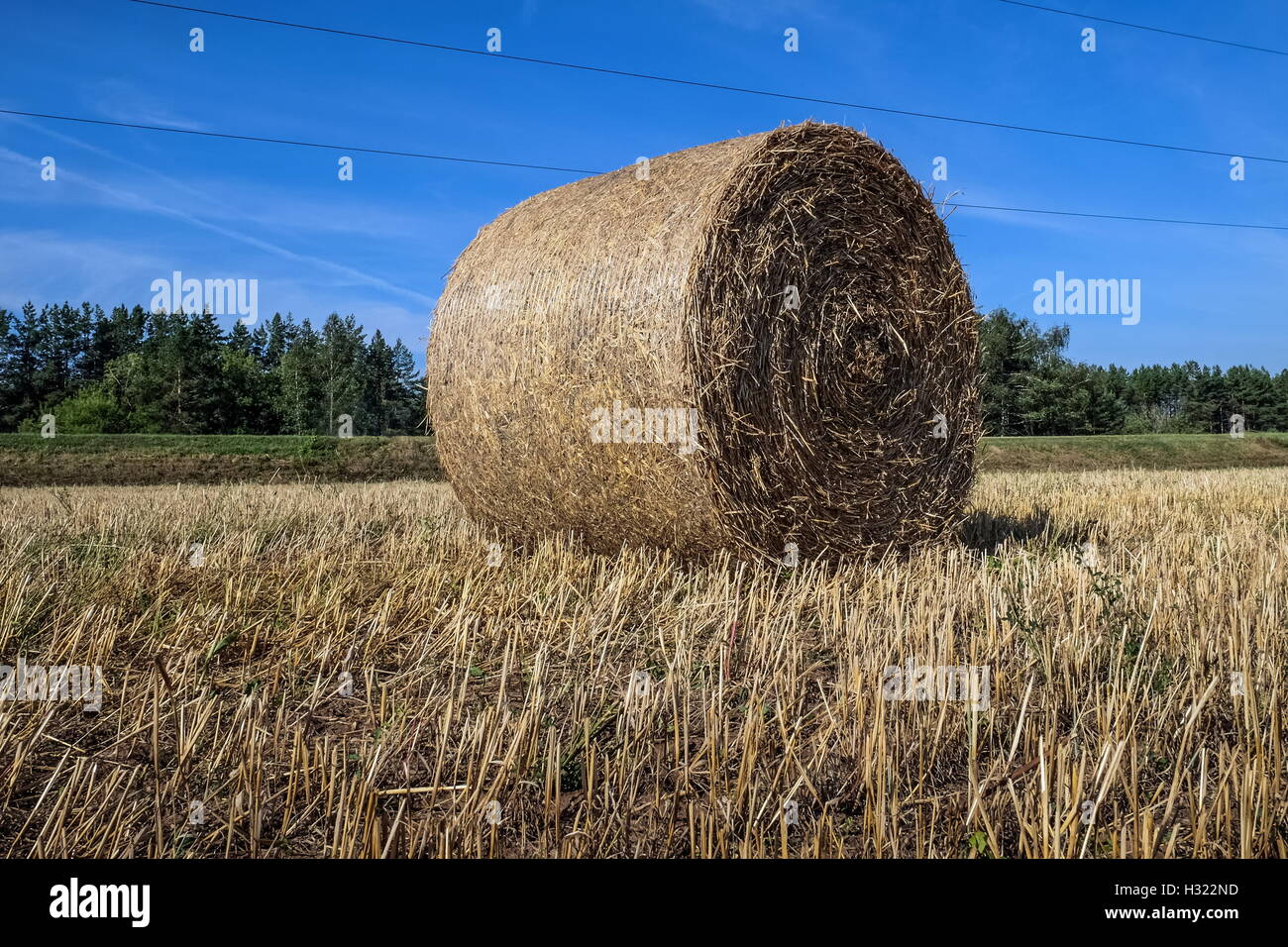 hay rolls on the slanted field Stock Photo - Alamy