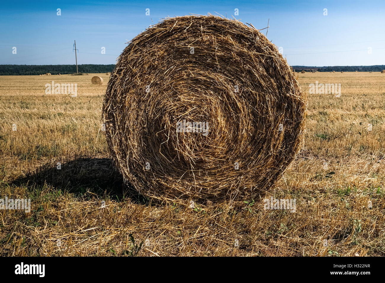 hay rolls on the slanted field Stock Photo - Alamy