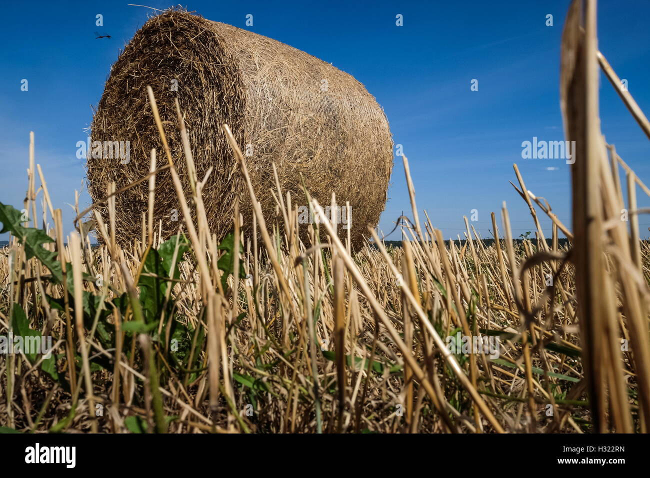 Slanted Cylinder High Resolution Stock Photography and Images - Alamy