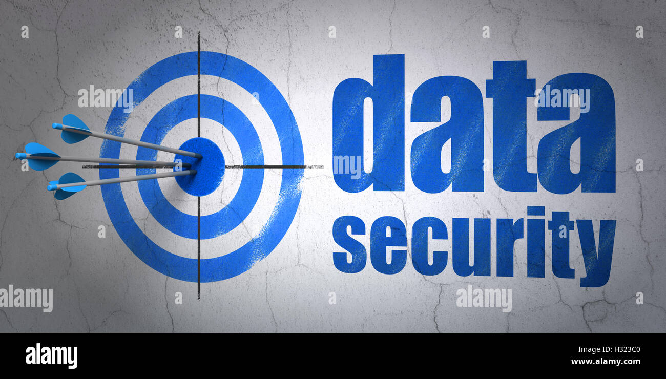 Security concept: target and Data Security on wall background Stock ...