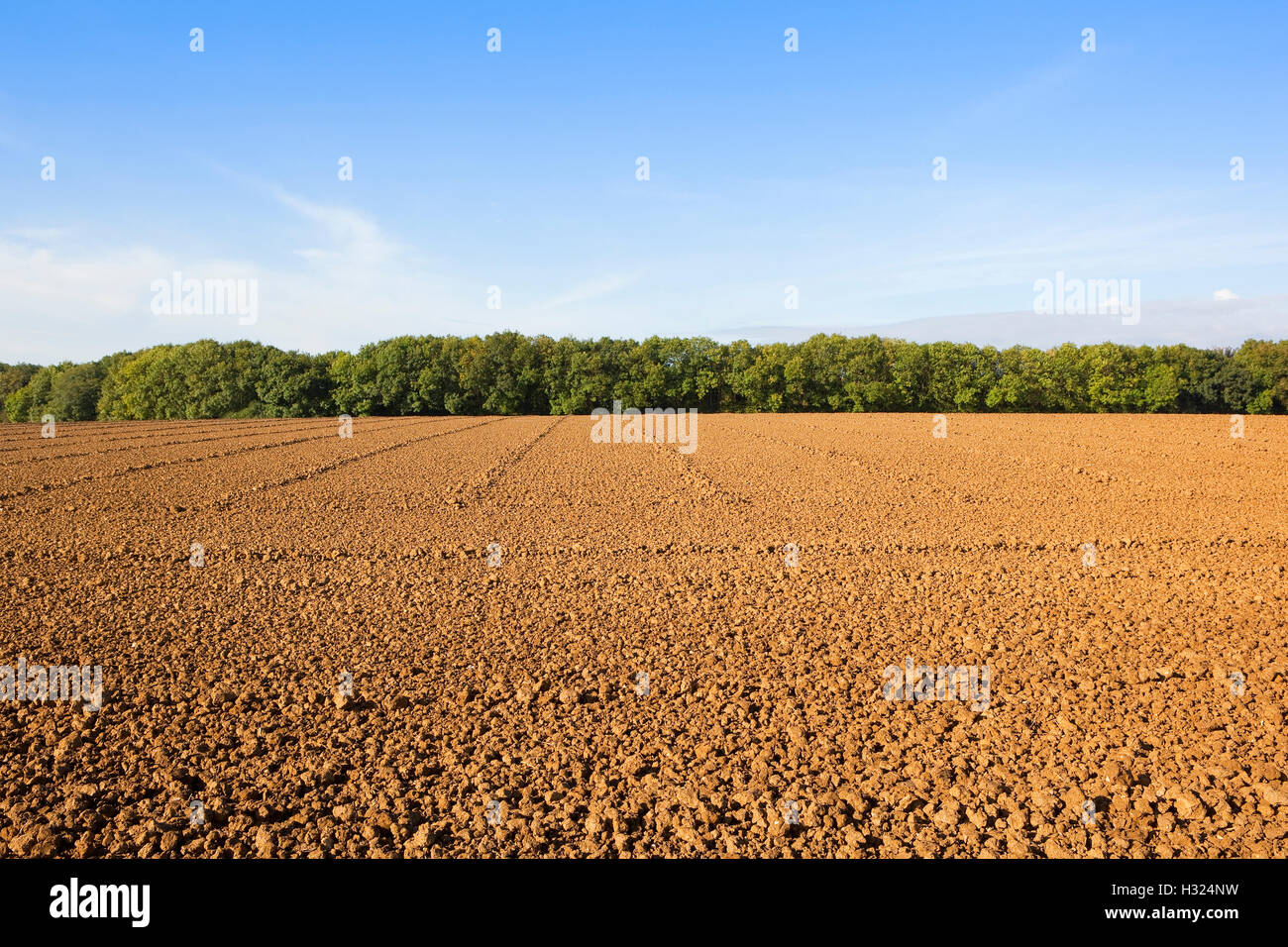Patterns and textures of a newly plowed field with woodland trees on ...