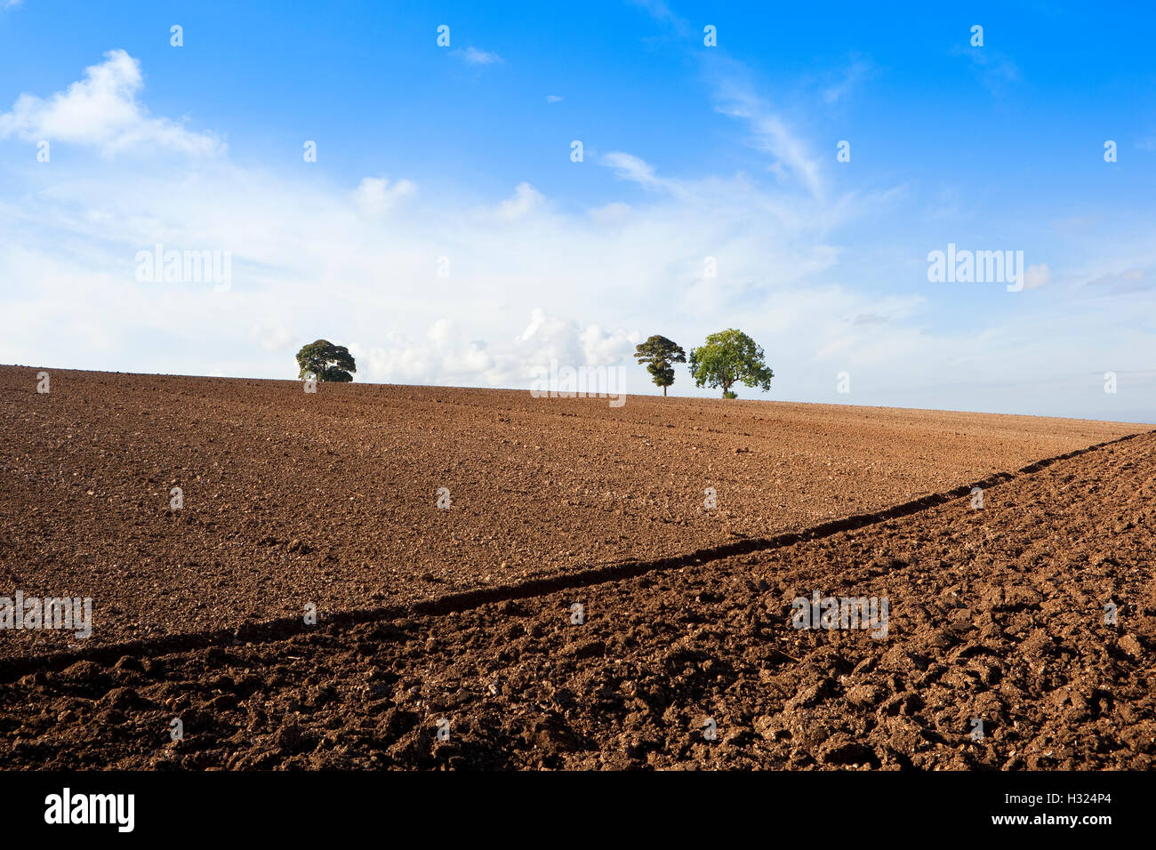 Patterns and texture of fresh plow soil with distant trees under a blue ...