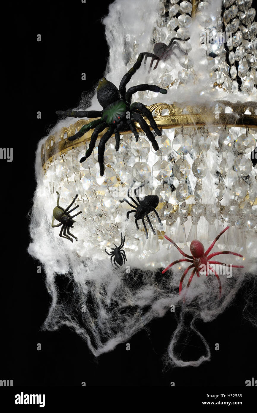Spiders on the chandelier a tangled web of a decoration for Halloween ...