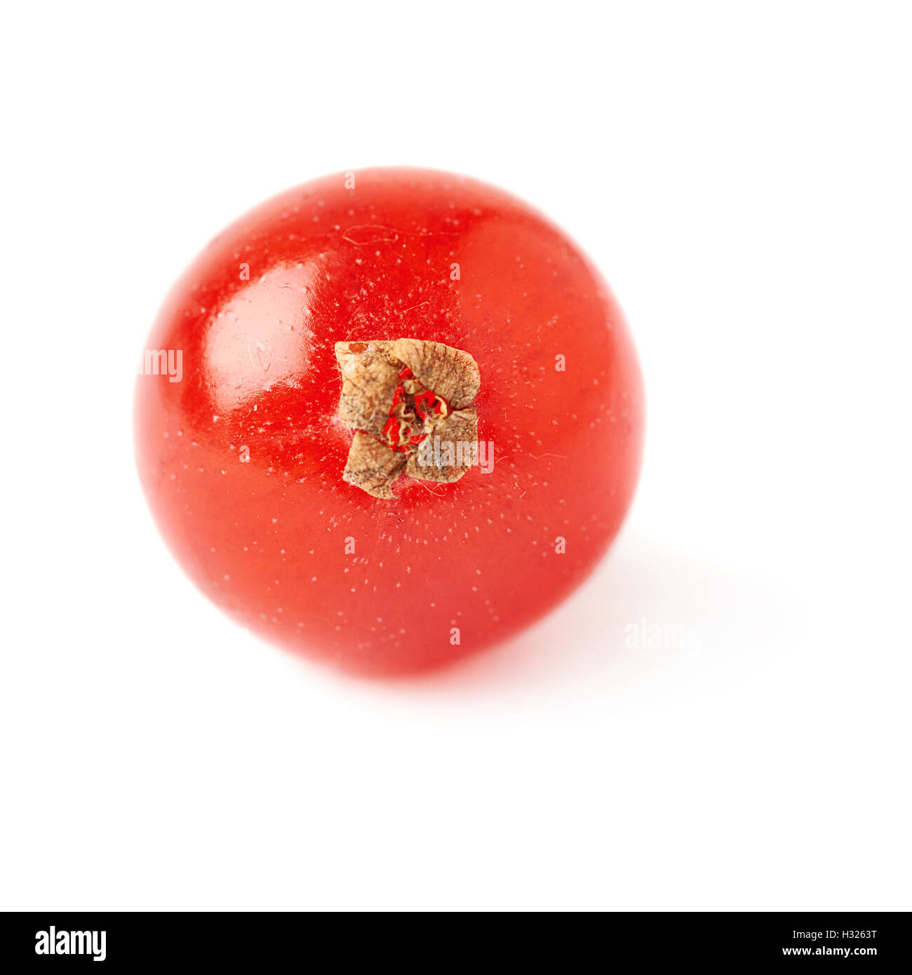 Single Red Currant isolated over white background Stock Photo - Alamy