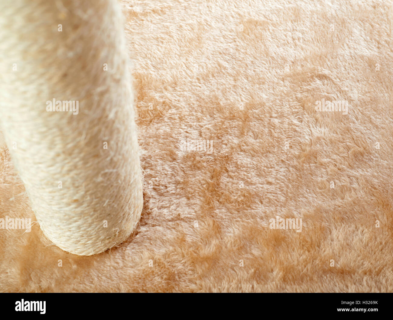 Scratching post as texture background Stock Photo - Alamy