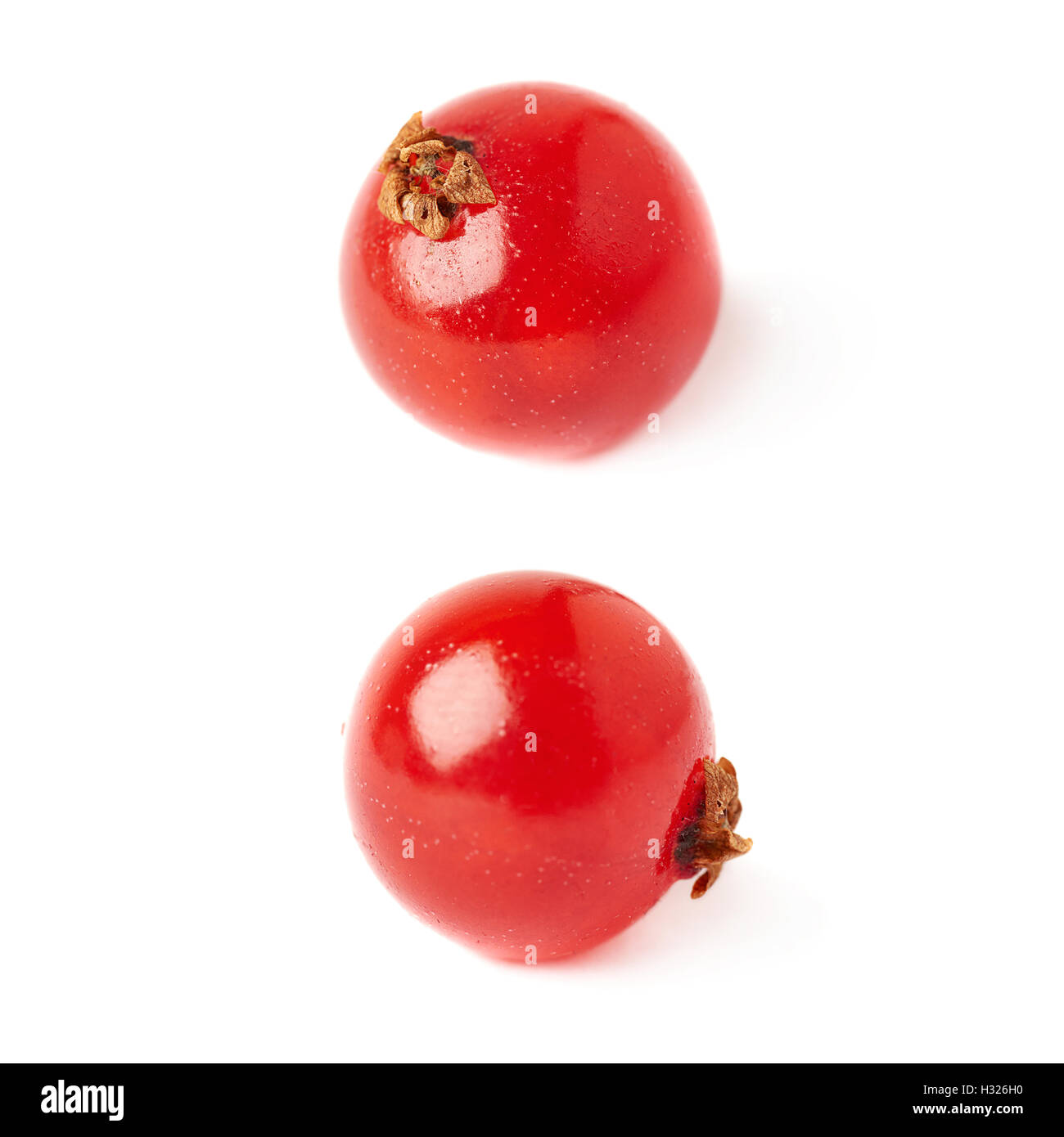 Set of Single Red Currant isolated over white background Stock Photo ...