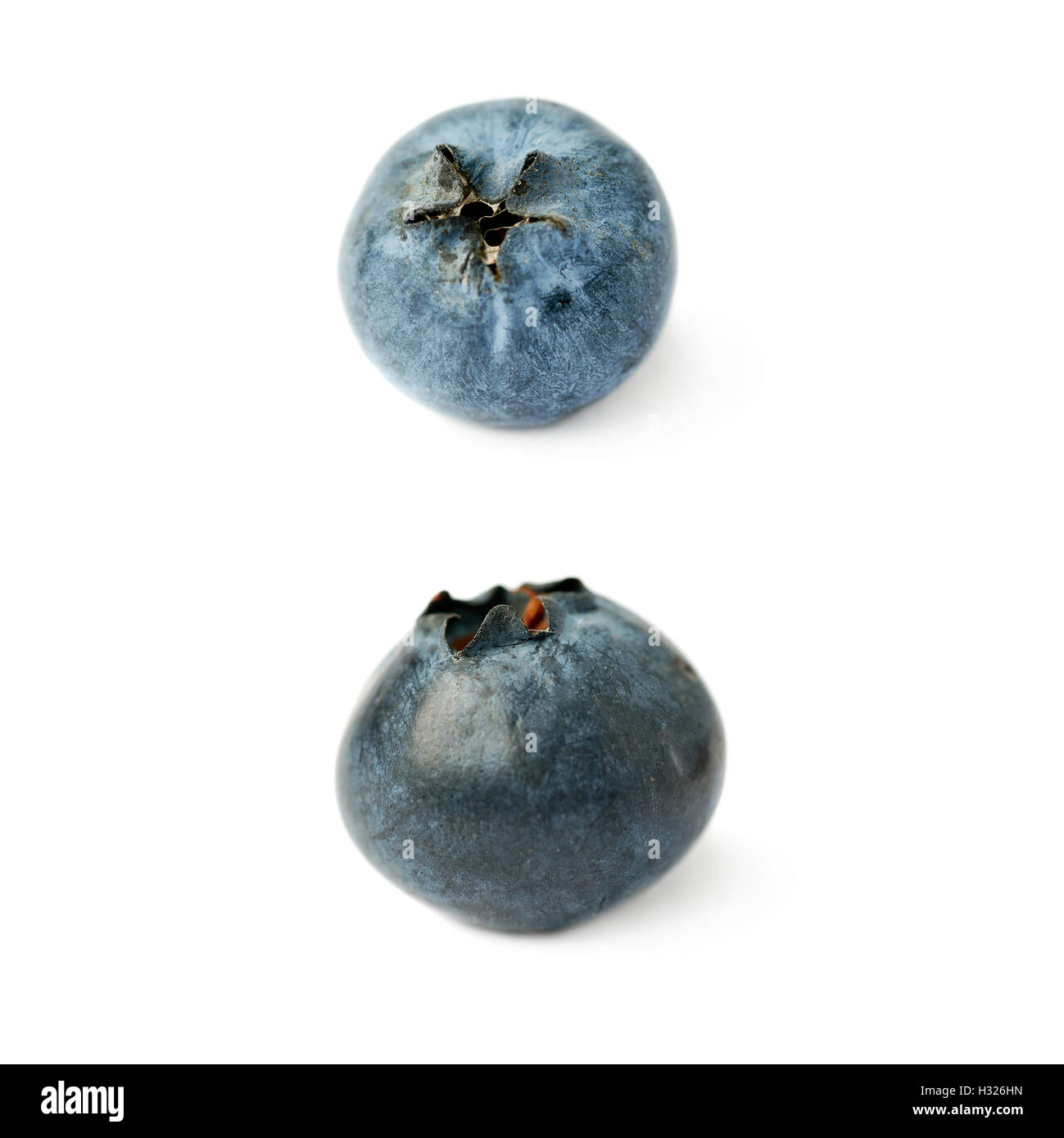 Set of Single berry of Bilberry or blueberry over isolated white ...