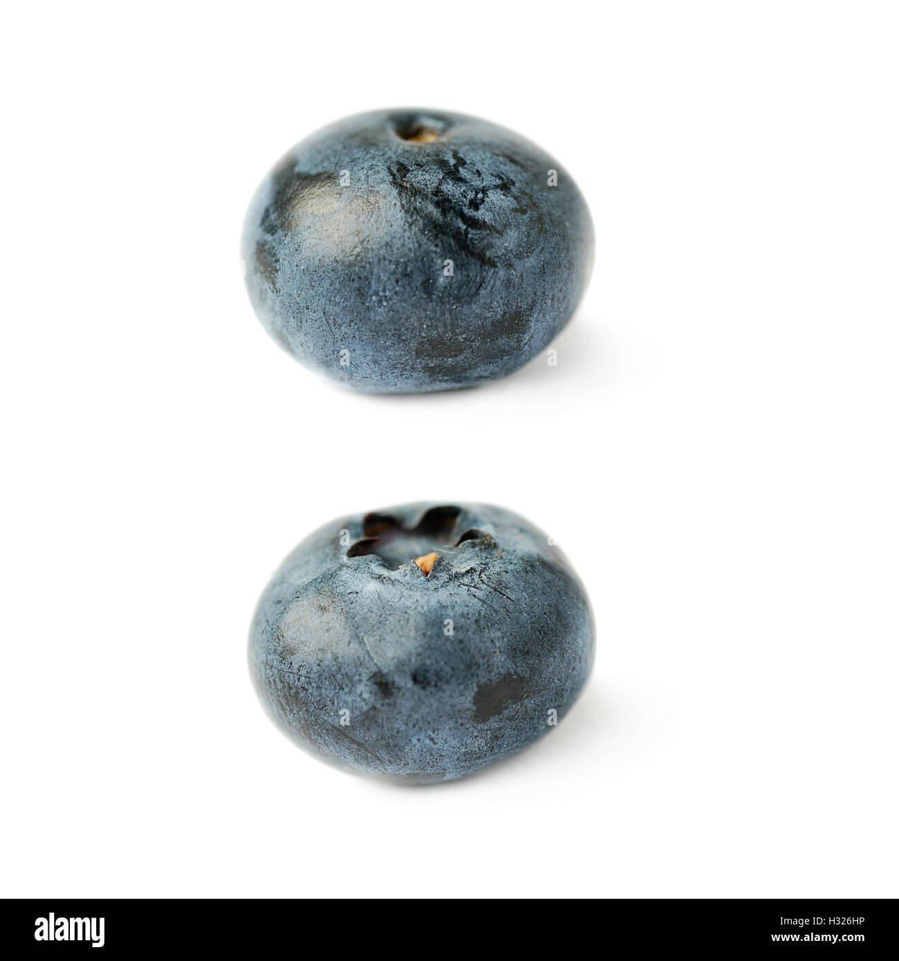 Set of Single berry of Bilberry or blueberry over isolated white ...