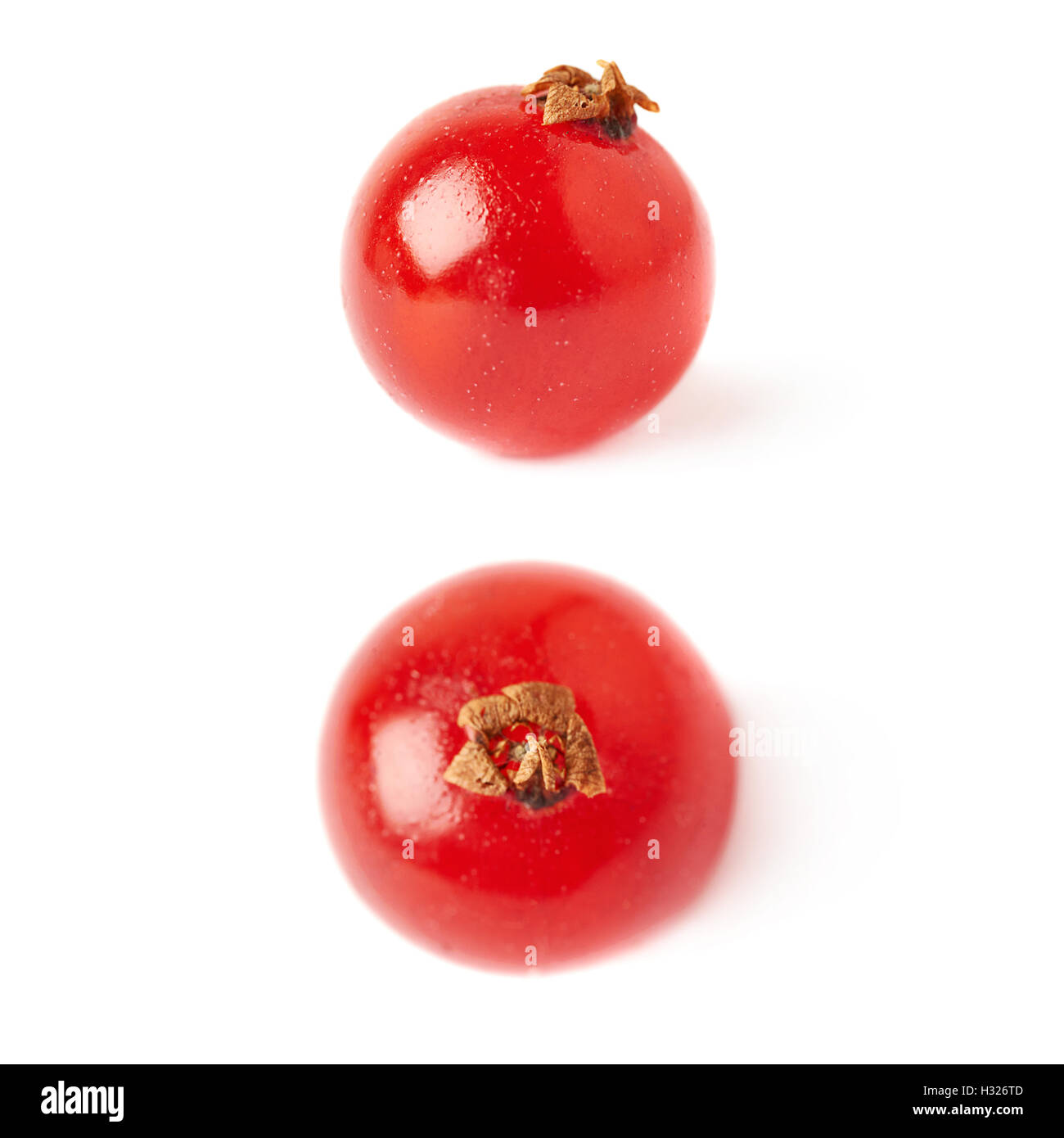 Set of Single Red Currant isolated over white background Stock Photo ...