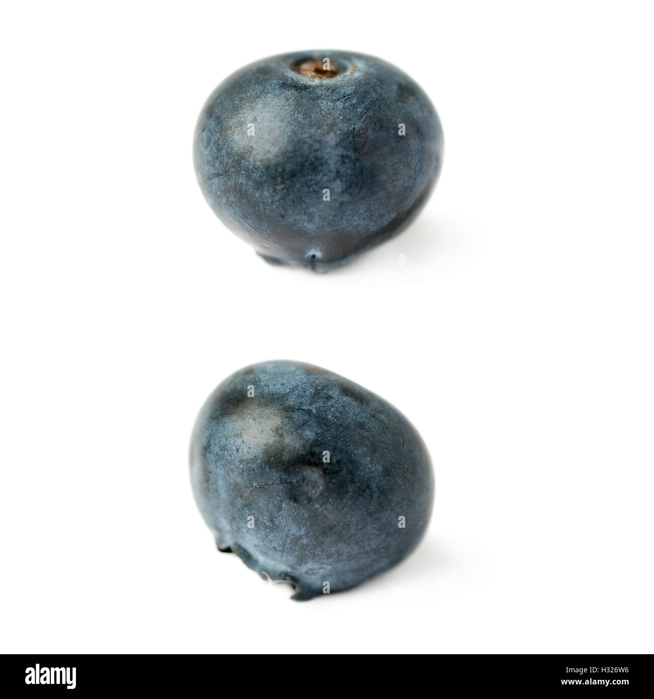 Set of Single berry of Bilberry or blueberry over isolated white ...