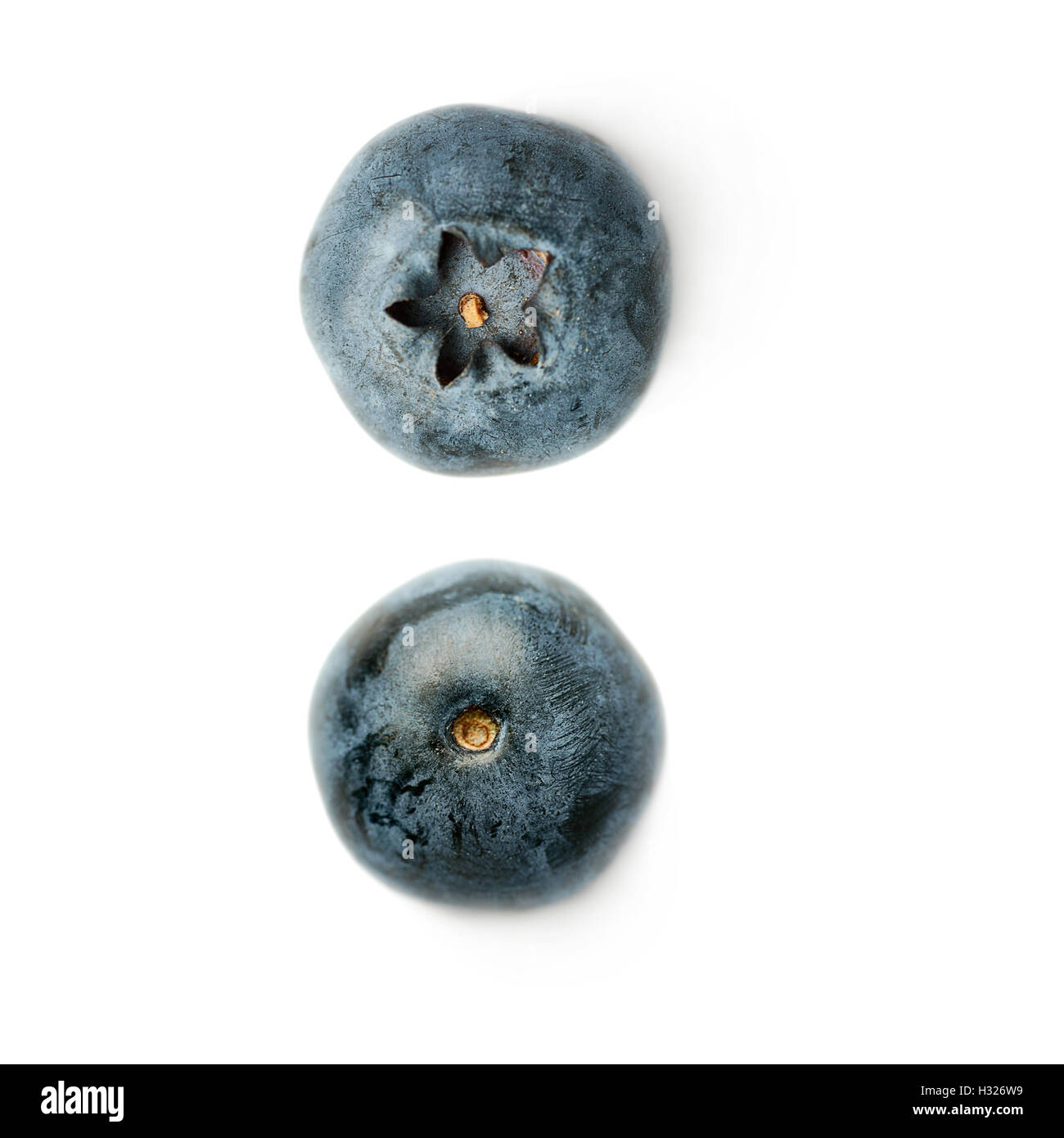 Set of Single berry of Bilberry or blueberry over isolated white ...