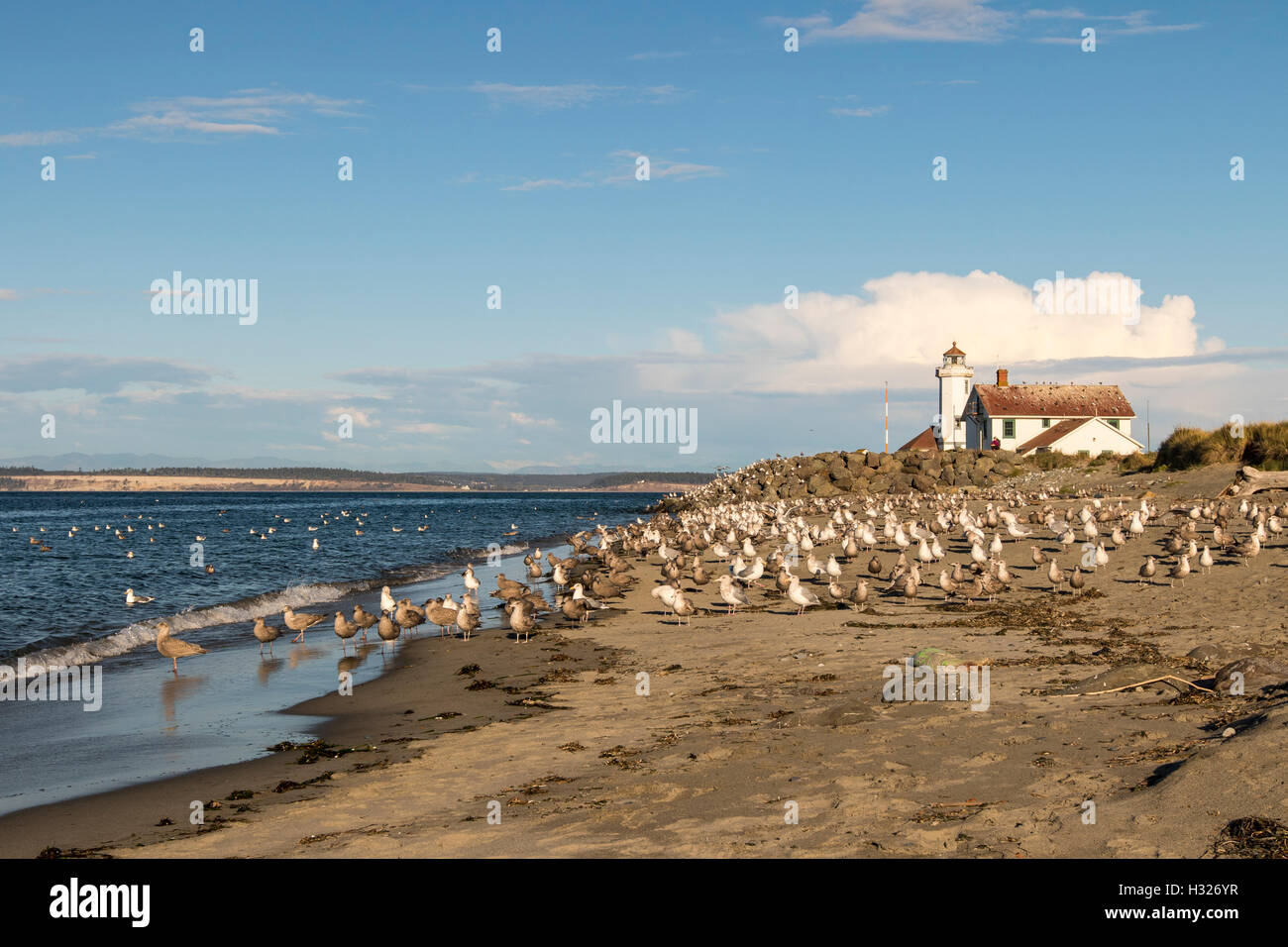 Port Townsend lighthouse at Point Wilson located in Fort Worden state ...