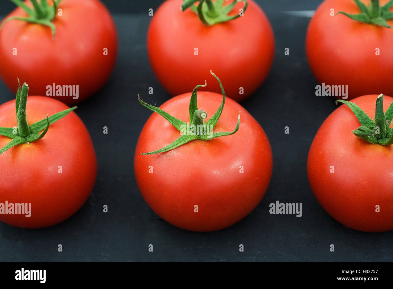 Lycopersicon esculentum. Six tomatoes on a black background Stock Photo ...