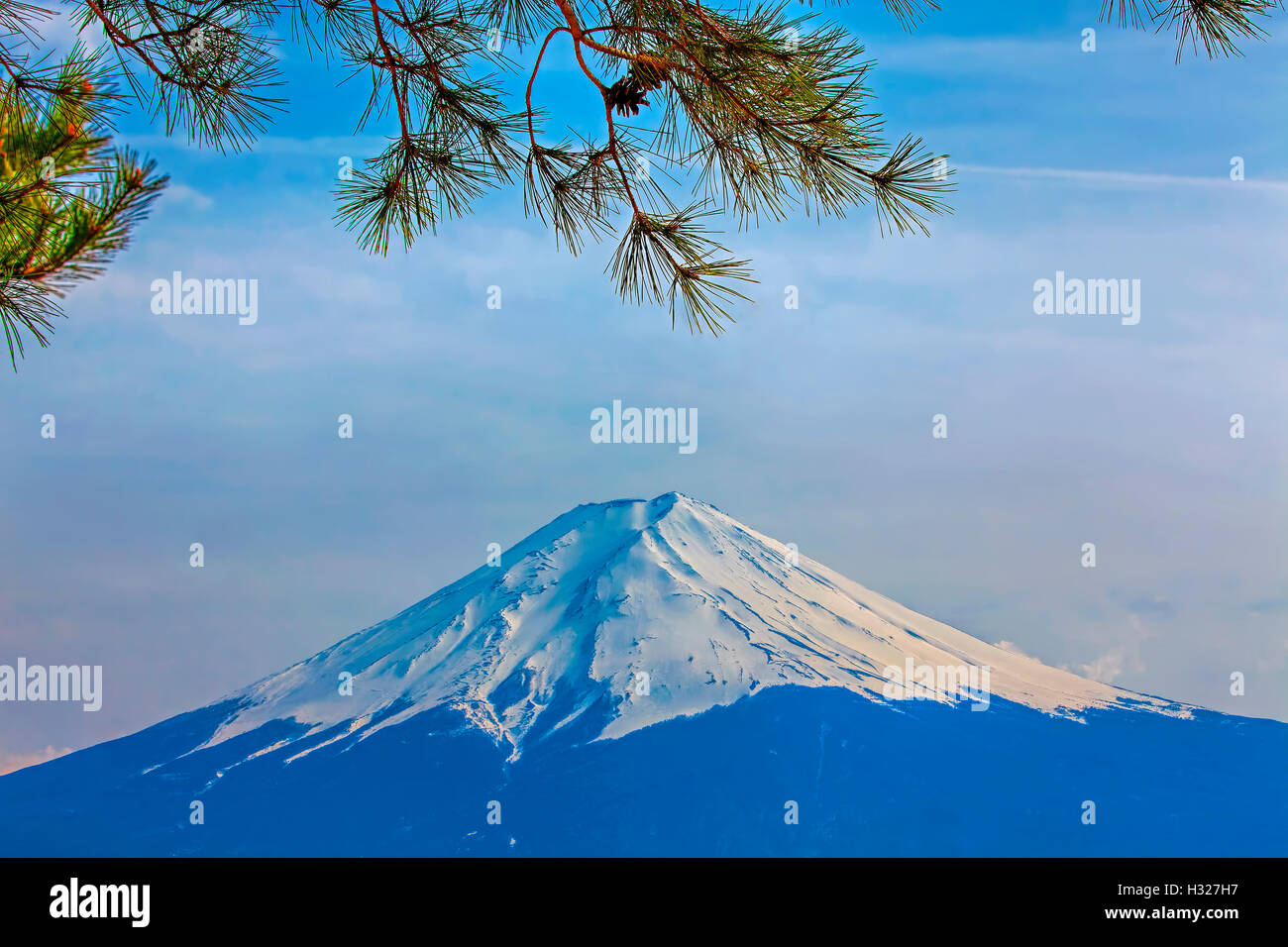 Fuji sakura hi-res stock photography and images - Alamy
