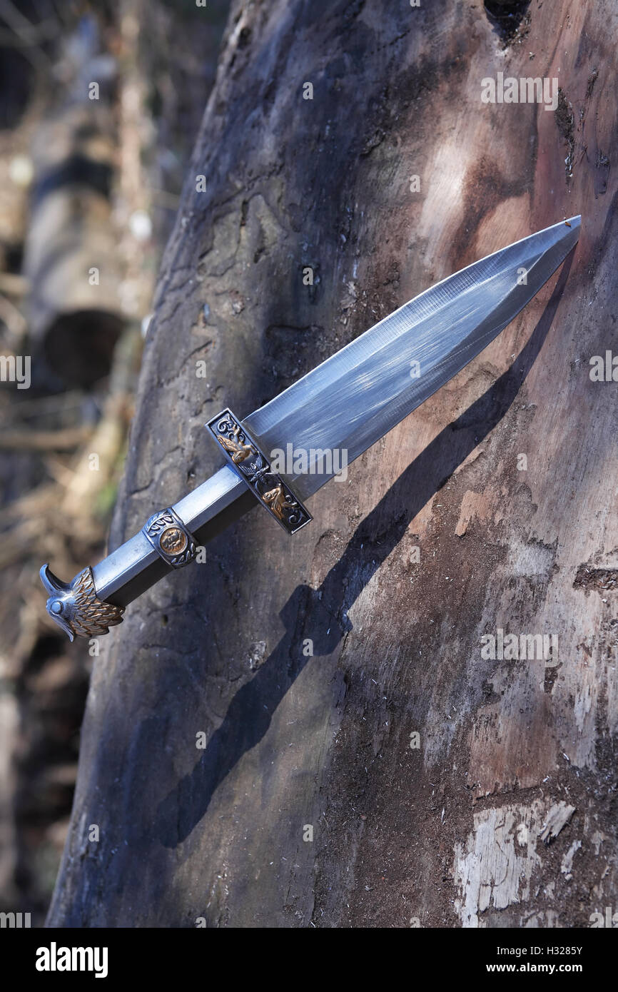 Army dagger hi-res stock photography and images - Alamy