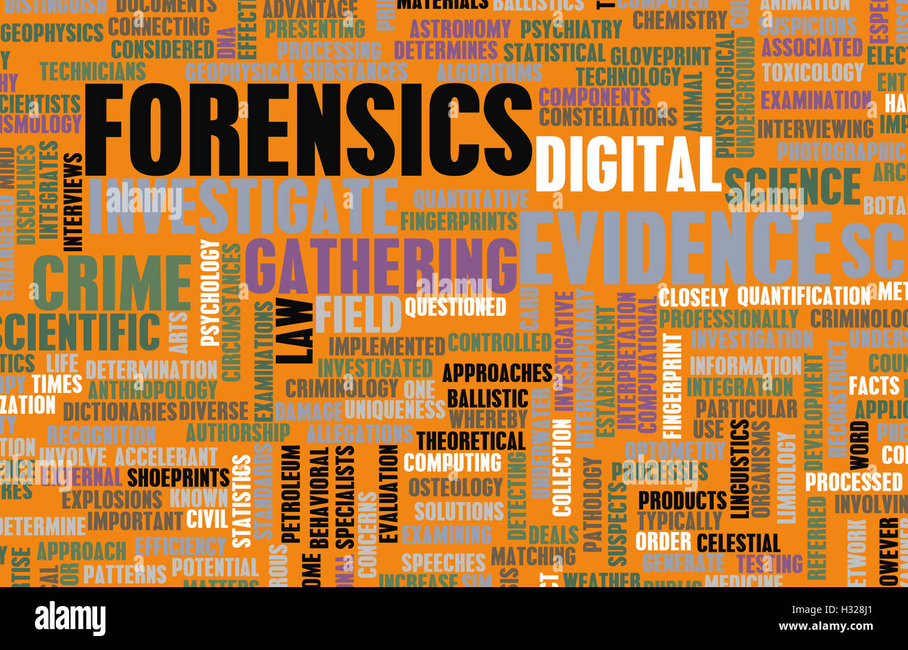 Digital forensics hi-res stock photography and images - Alamy