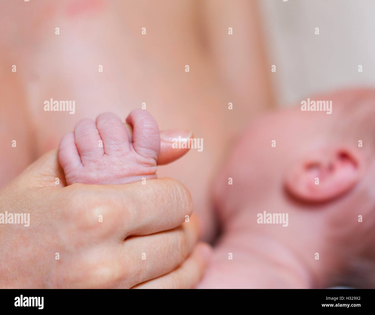Newborn baby hands Stock Photo - Alamy