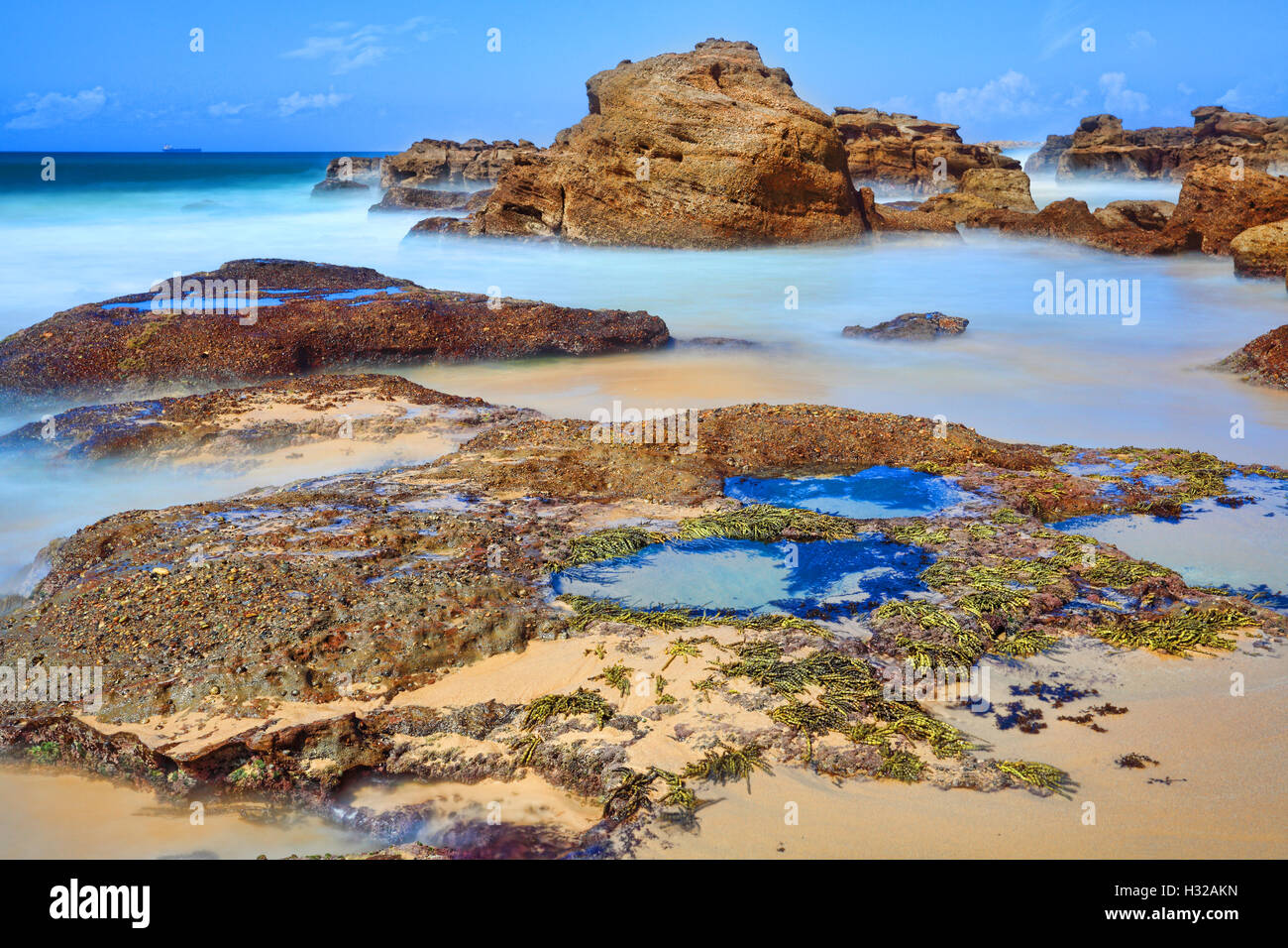 Tide pools marine life on australia hi-res stock photography and images ...