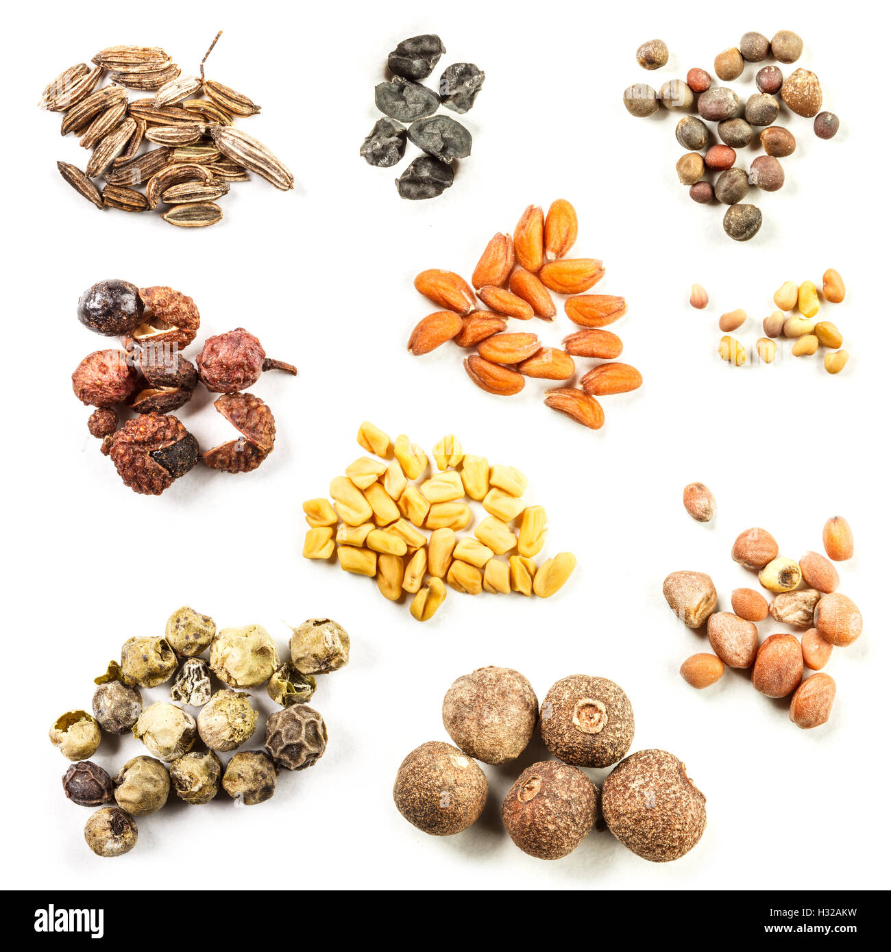 Collection of spice Stock Photo - Alamy