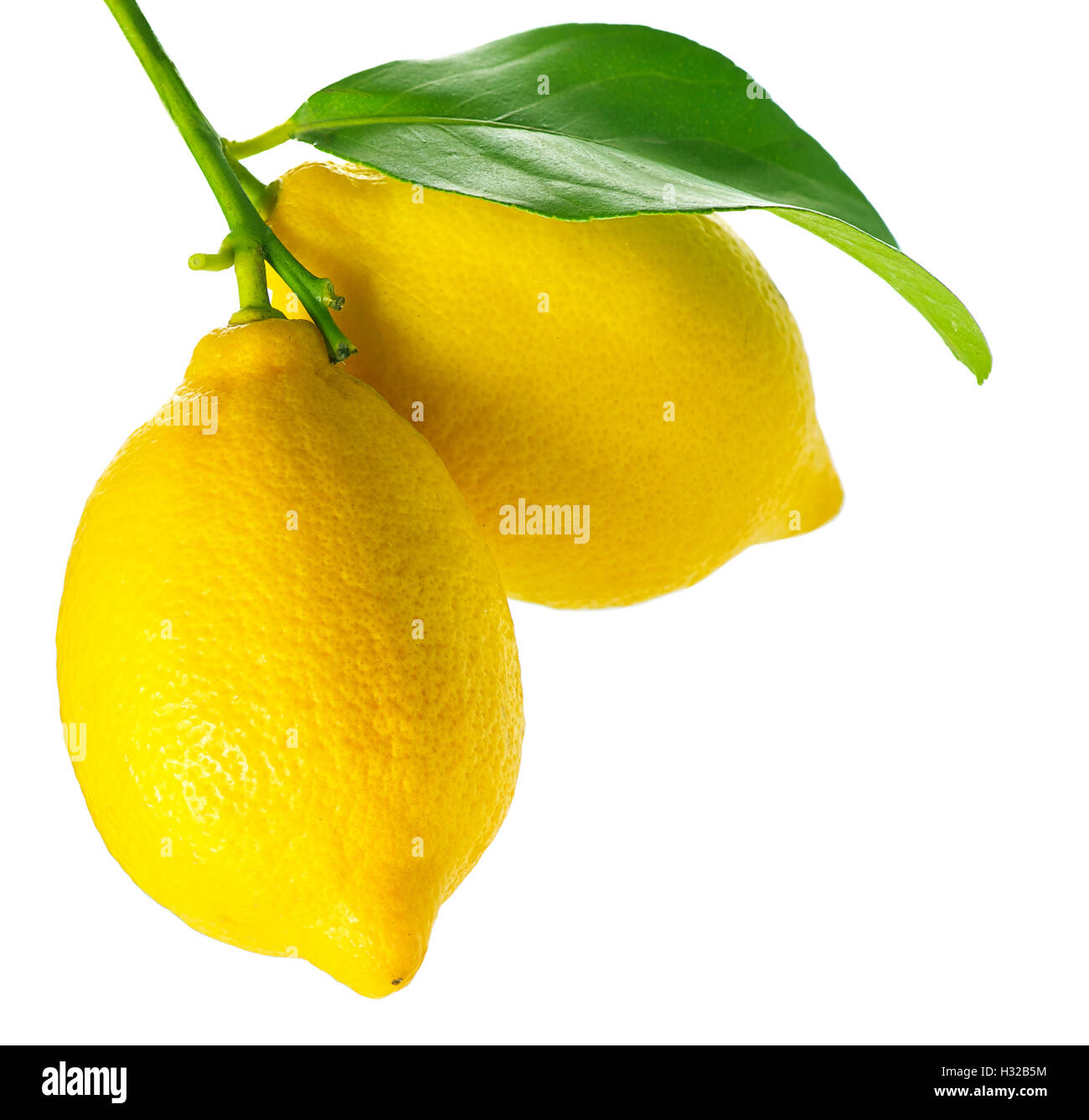 Lemon isolated on White. Fresh and Ripe Lemons Stock Photo - Alamy