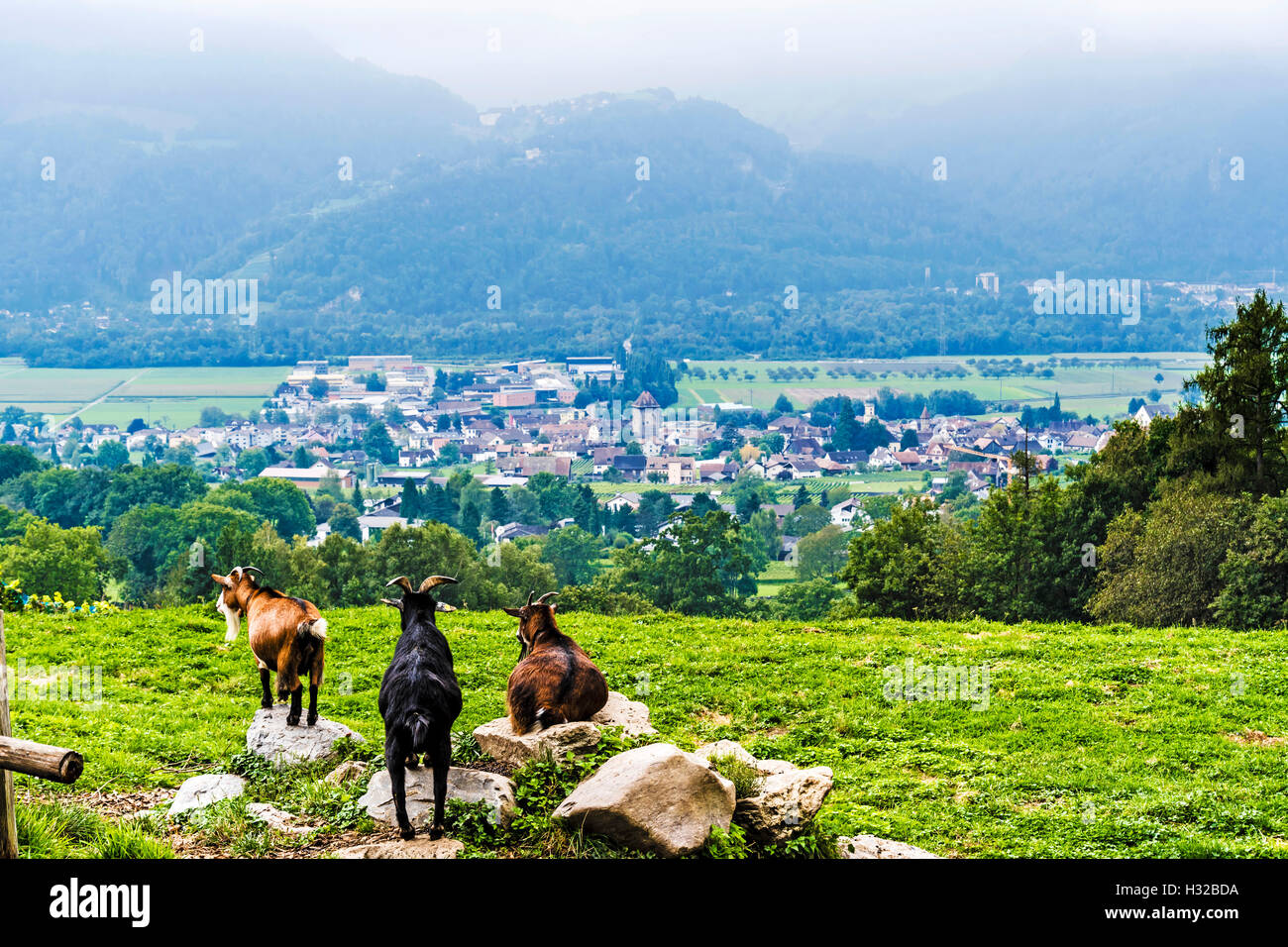 Heidiland near Maienfeld, Switzerland, Graubuenden; Heidiland, Schweiz ...