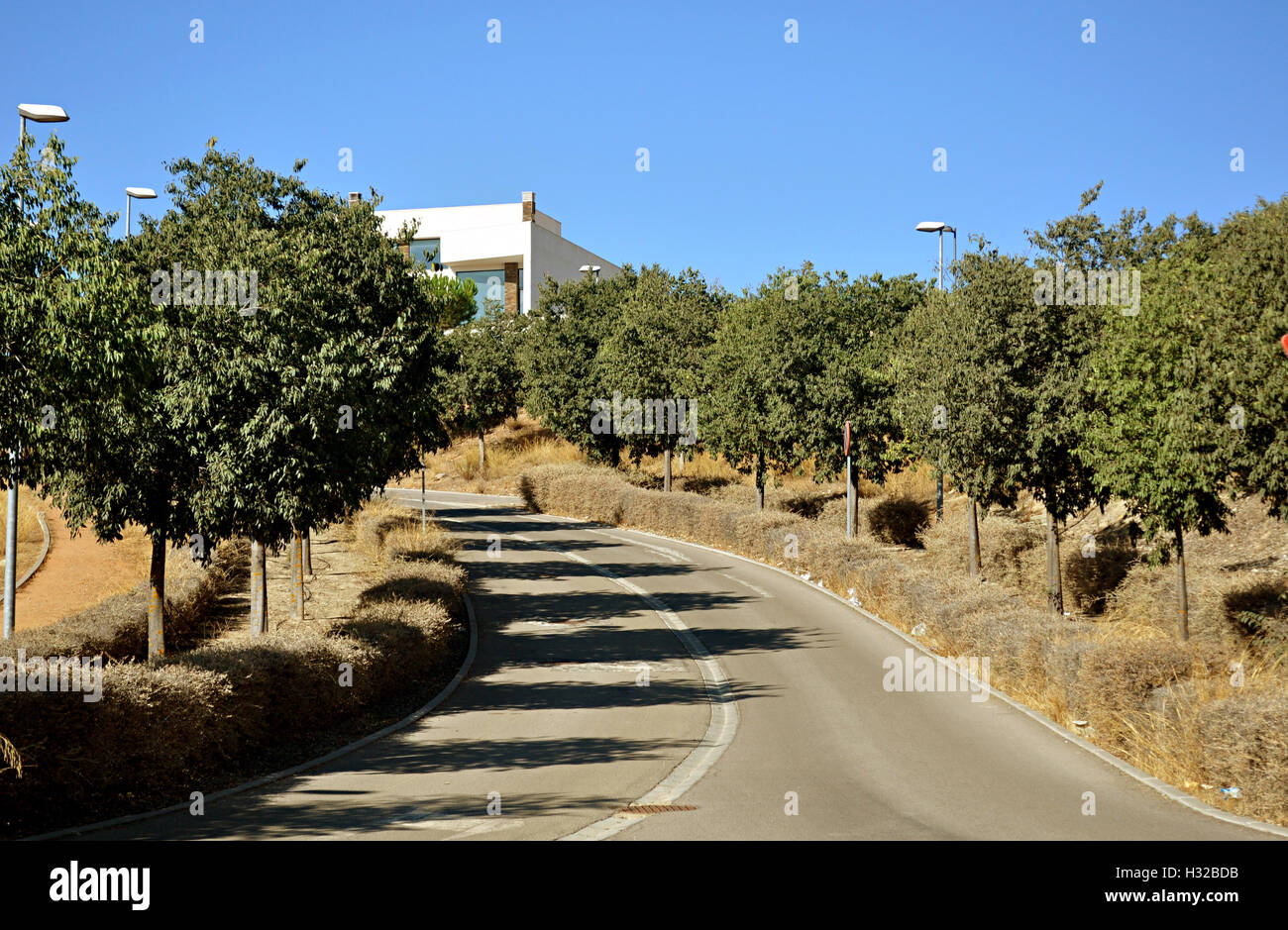 curved road with shadows Stock Photo - Alamy