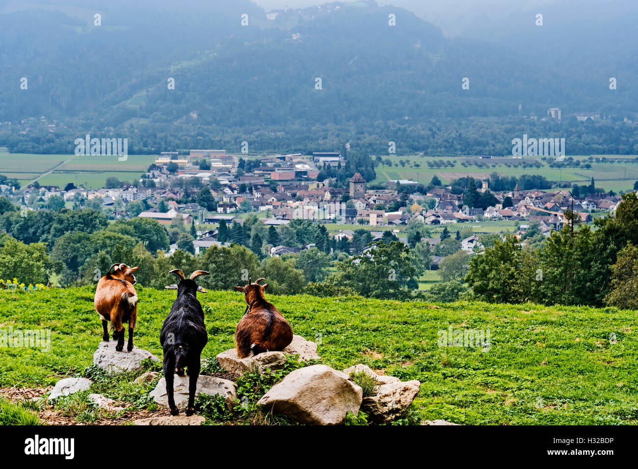 Heidiland near Maienfeld, Switzerland, Graubuenden; Heidiland Stock ...
