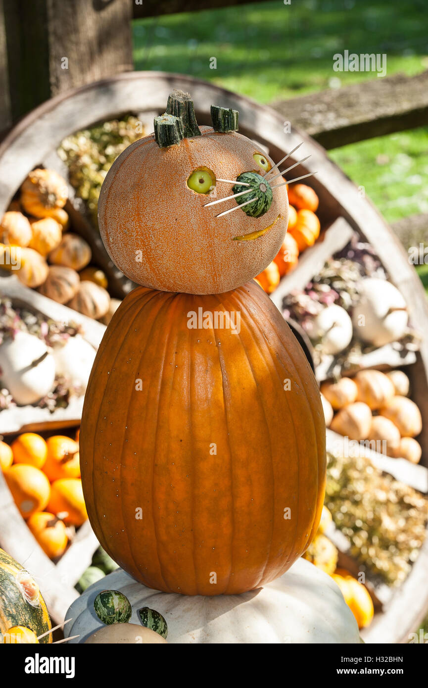pumpkins in a german garden Stock Photo - Alamy