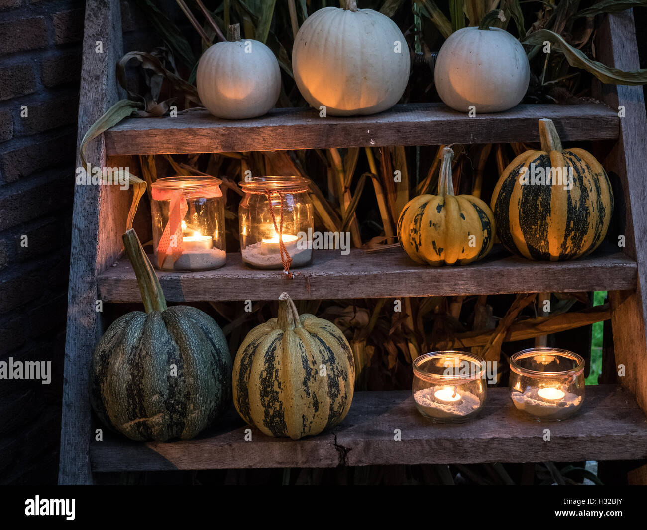pumpkins in a german garden Stock Photo - Alamy