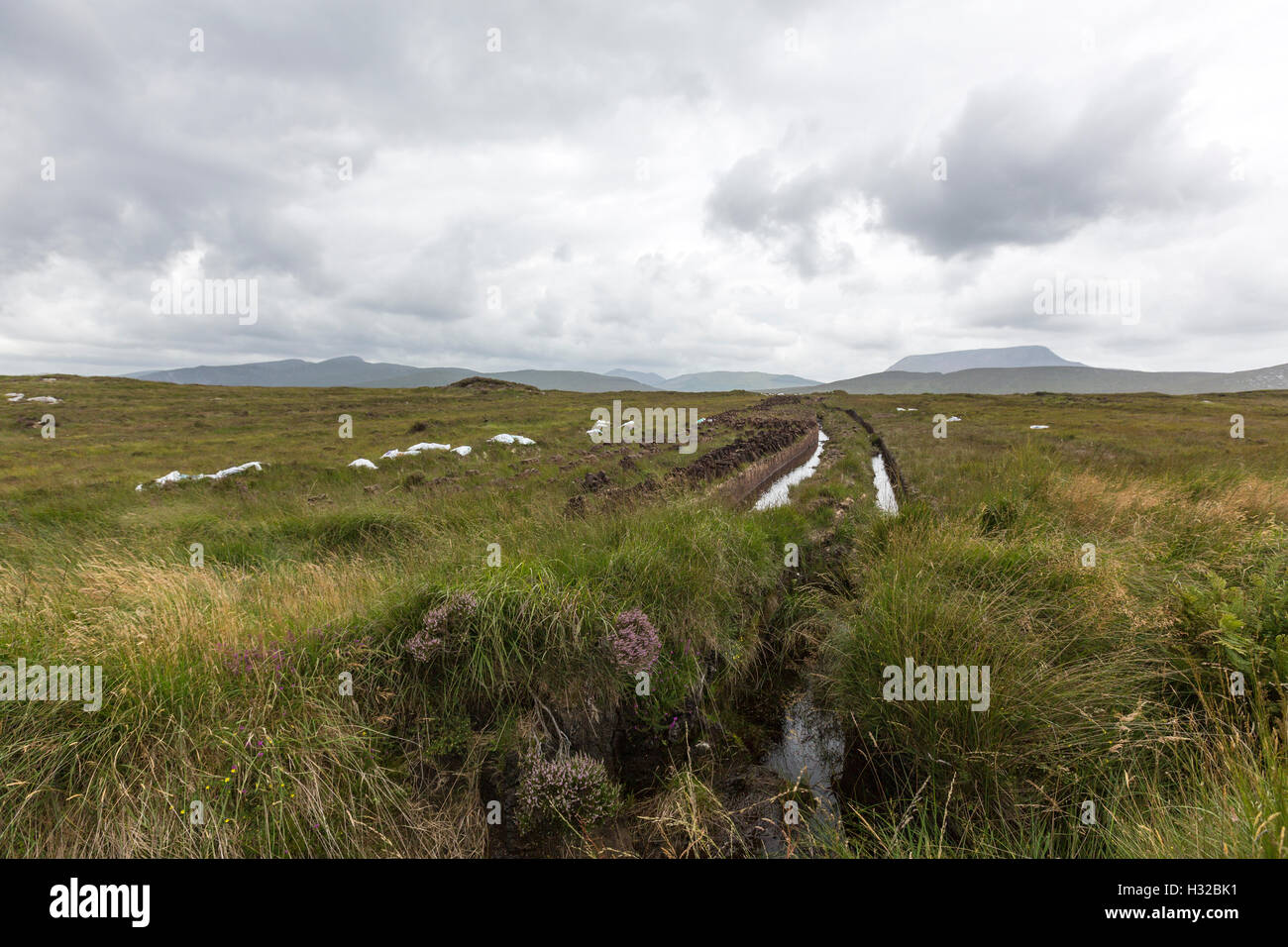 Peat bog ireland hi-res stock photography and images - Alamy